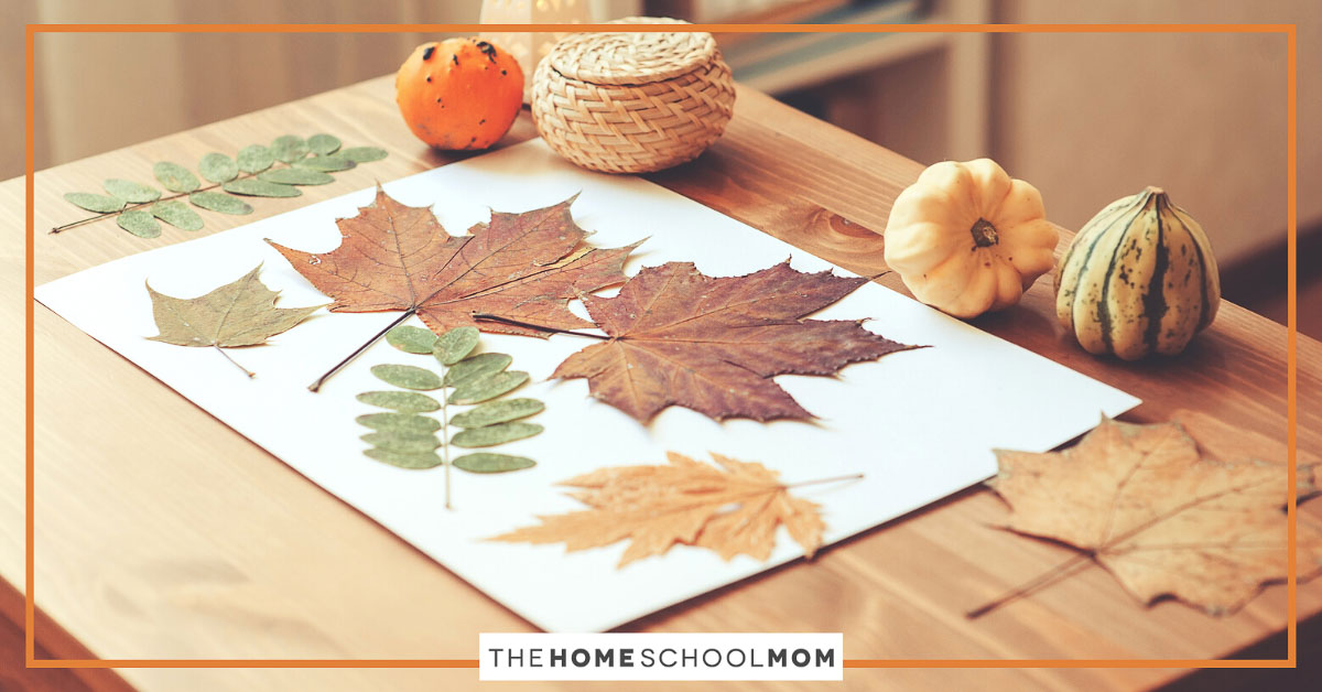 Fun Fall Homeschooling Activities With Leaves