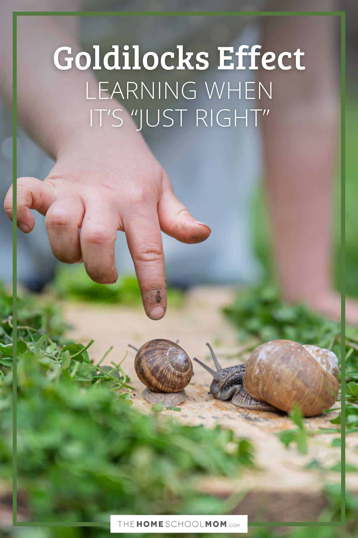 Goldilocks Effect: Learning When It's "Just Right"