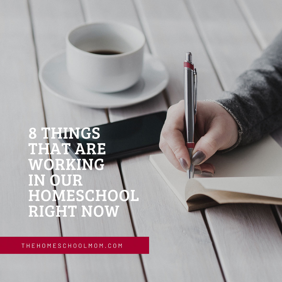 8 Things That Are Working in Our Homeschool Right Now
