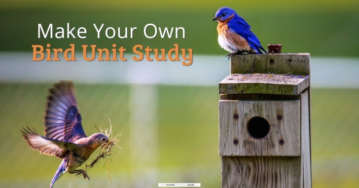 Make Your Own Bird Unit Study