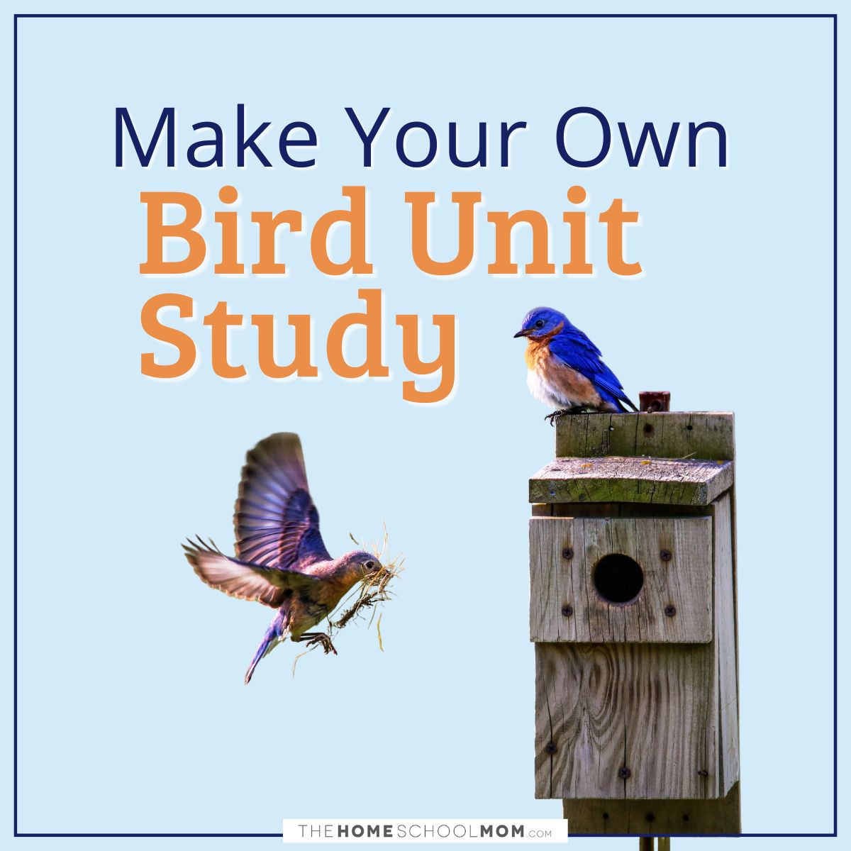 TheHomeSchoolMom - Helping homeschoolers for over 20 years