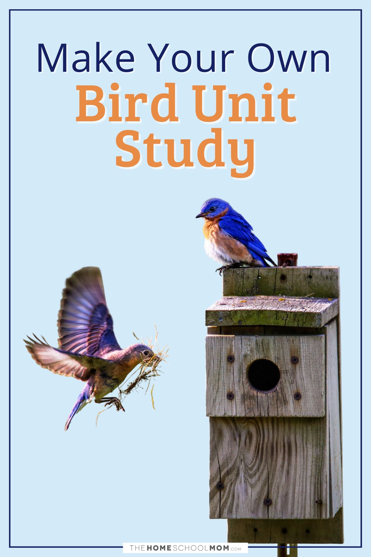 Nature-based Learning - TheHomeSchoolMom