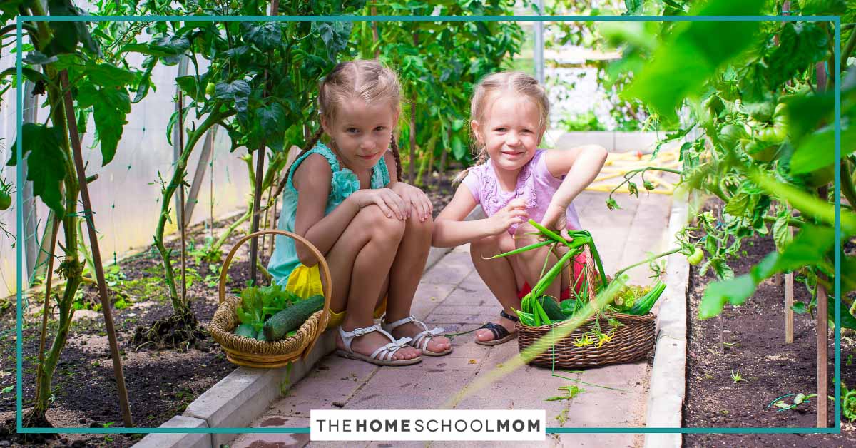 9 Outdoor Experiments for Summer Science Fun