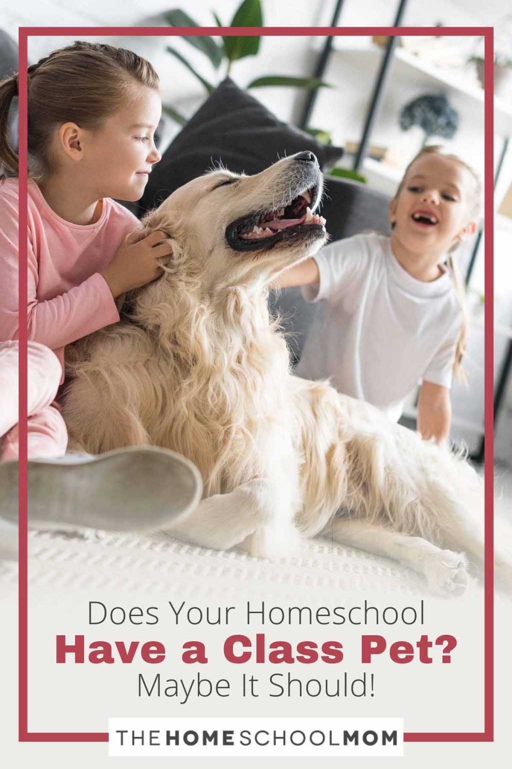 Does Your Homeschool Have a Class Pet? If Not, Maybe It Should