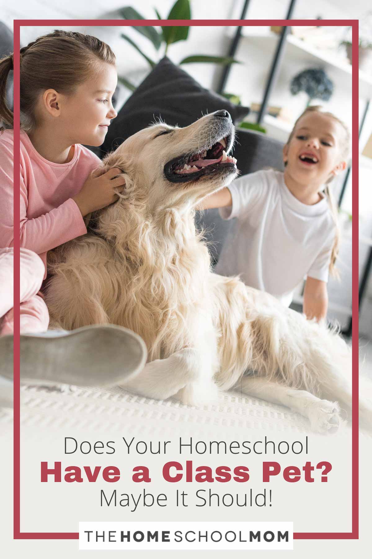 Does Your Homeschool Have a Class Pet? If Not, Maybe It Should