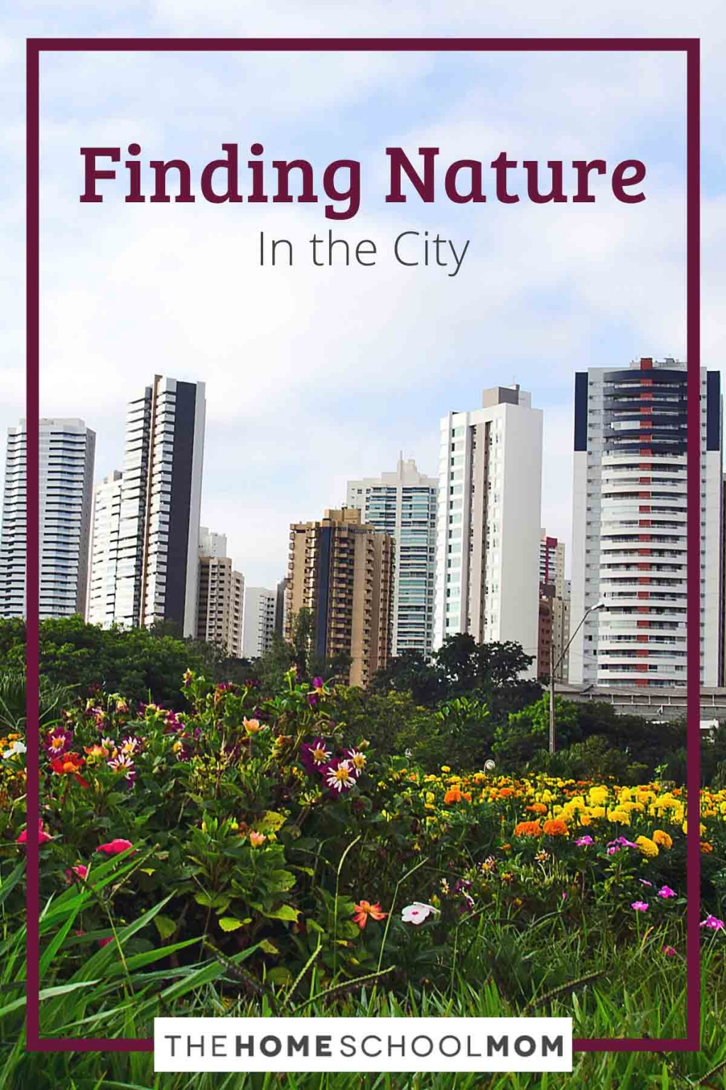 Finding Nature in the City