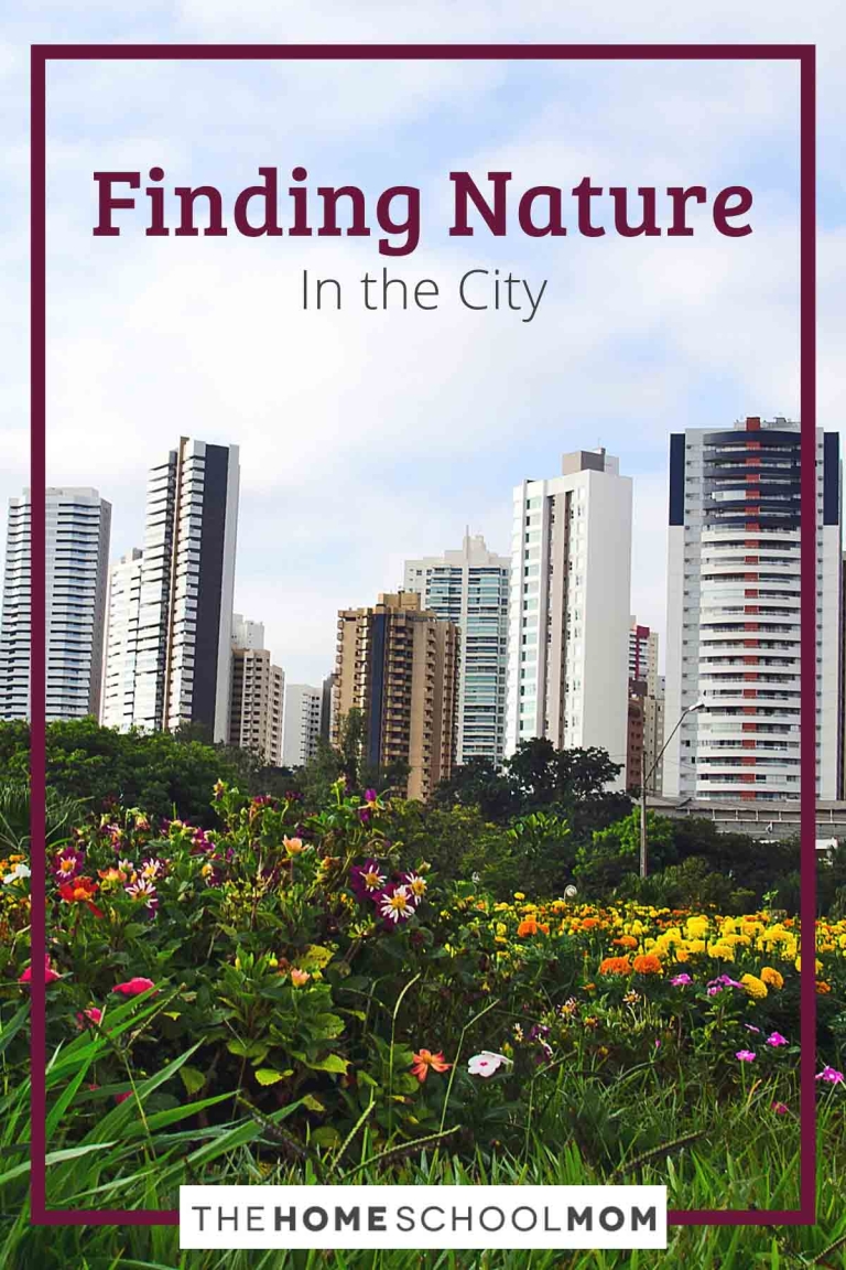 Finding Nature in the City