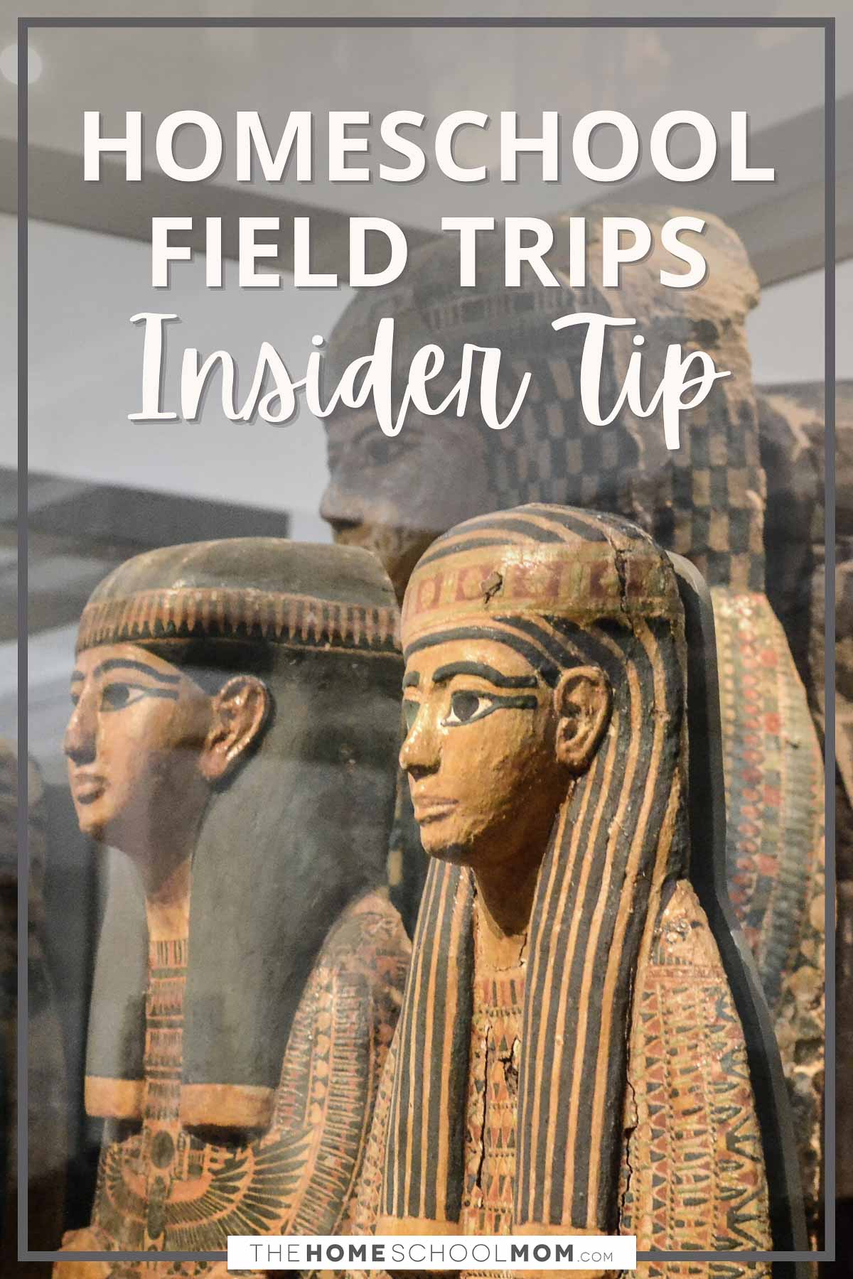 Homeschool Days: The Insider Tip for Great Homeschool Field Trips