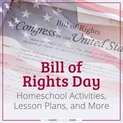 Homeschool Government - TheHomeSchoolMom