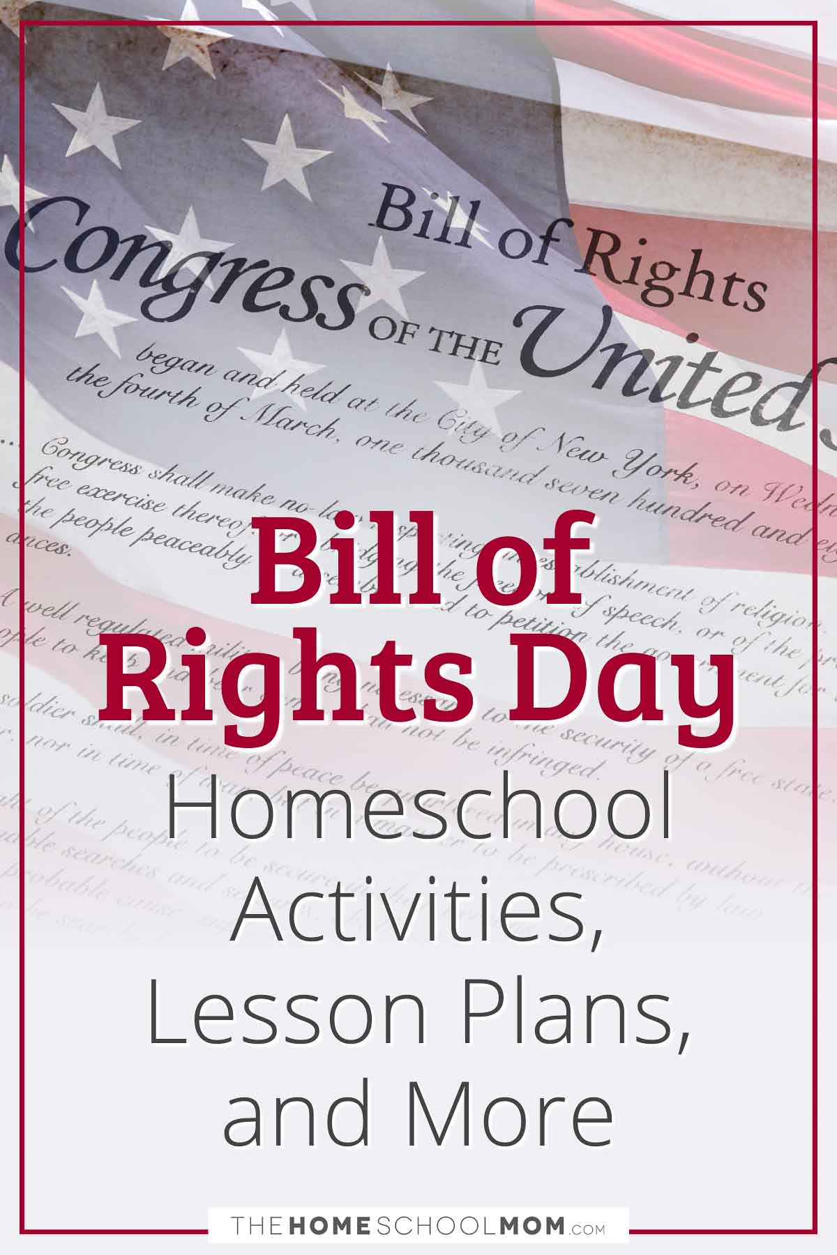 Homeschool Government - TheHomeSchoolMom