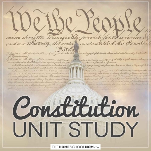 Homeschool Government - TheHomeSchoolMom
