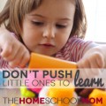 Early education Harmful: Don't Push Little Ones To Learn
