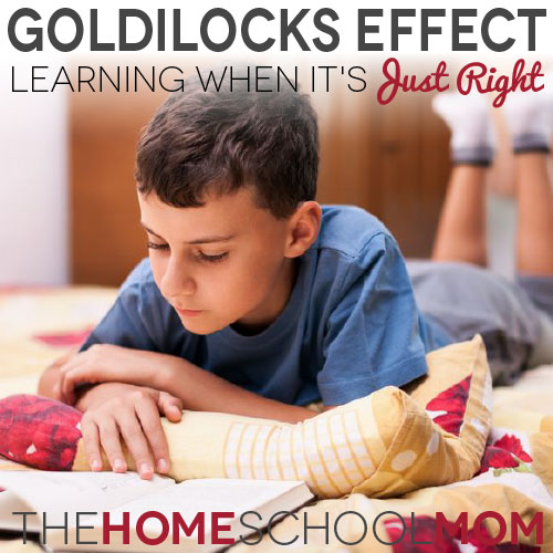 Goldilocks Effect: Learning When It's "Just Right"